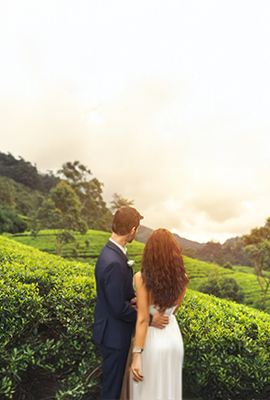 Destination Wedding Munnar