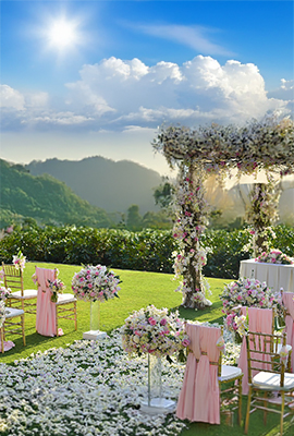 Destination Wedding Munnar